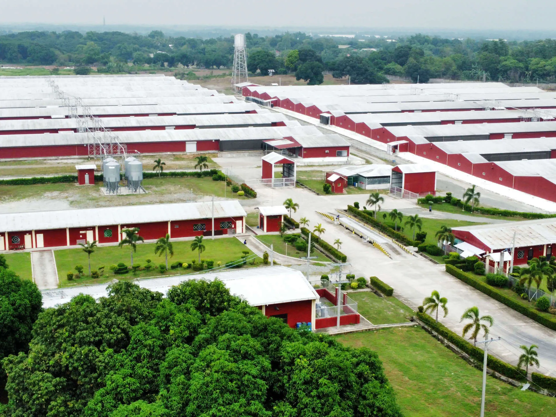 About-Us - Bounty PH